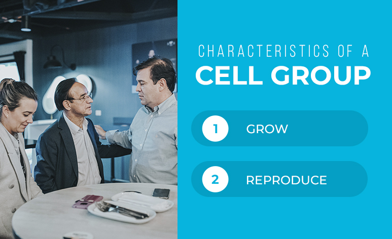 What are the fundamental characteristics of a cell group?